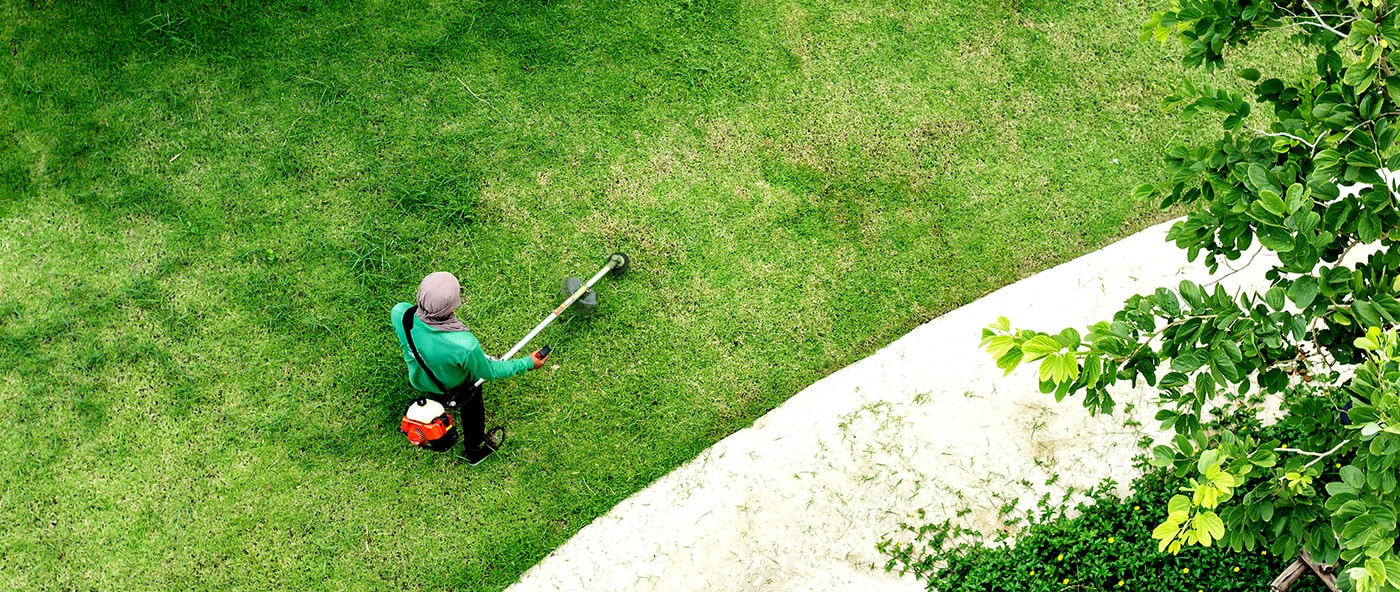 Commercial grounds maintenance | RLC Landscaping