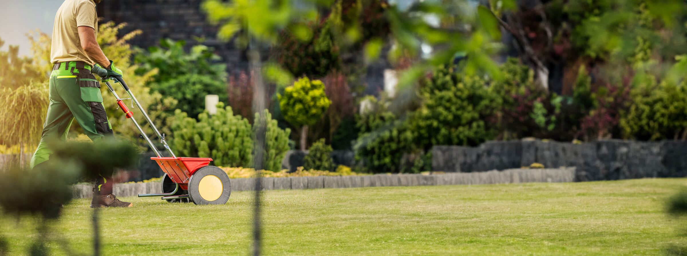 Lawn Fertilization | RLC Lawn and Pest